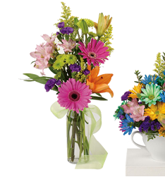 Flowers for Any Occasion Flowers | Sunfresh Flowers