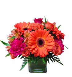 Season | Flower Delivery Carlsbad CA, Sunfresh Flowers